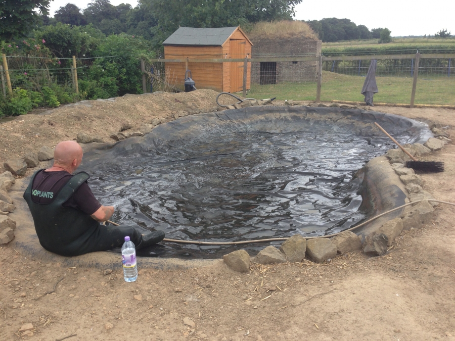 Duck pond cleaning in Kings Langley, Hertfordshire